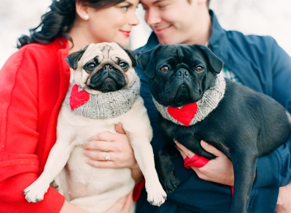 Pug Love Valentine’s Day Engagement - Inspired By This