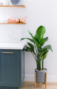 A Fresh Girlfriends Brunch in a Gorgeous Jade Kitchen - Inspired By This