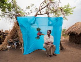 The Story Behind The Milaya Project - Inspired By This