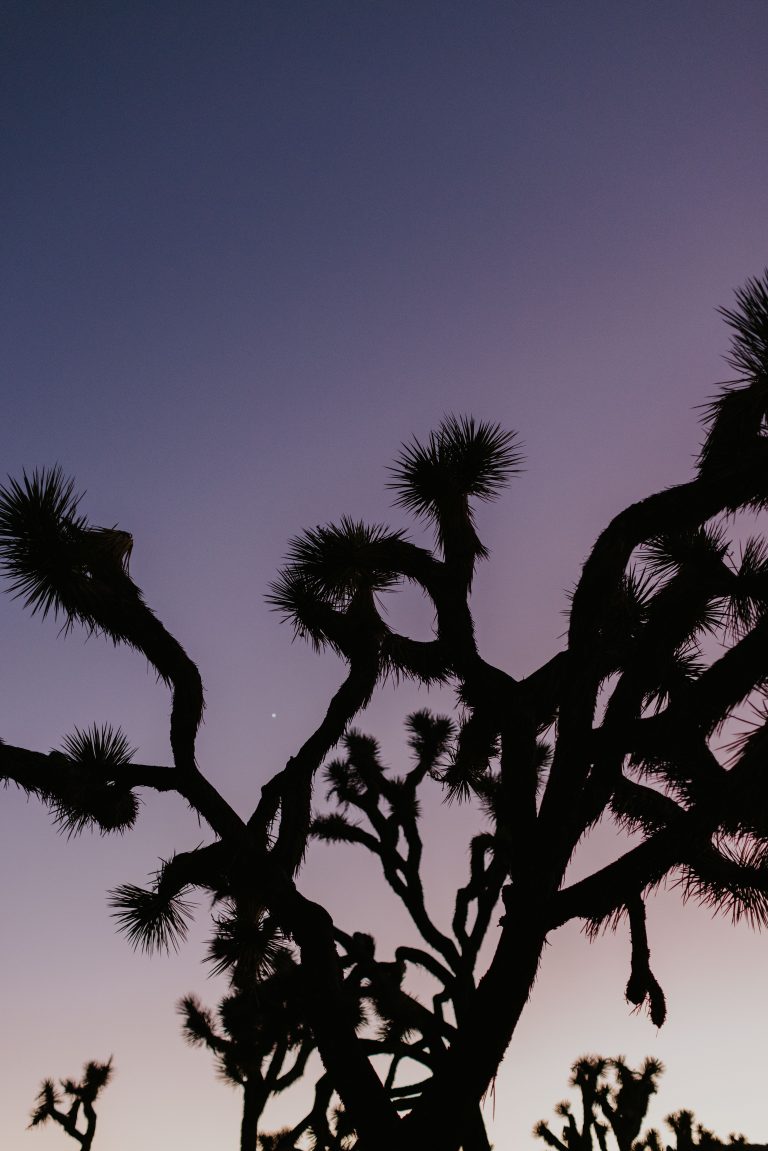 An Autumn Elopement in a Desert National Park - Inspired By This