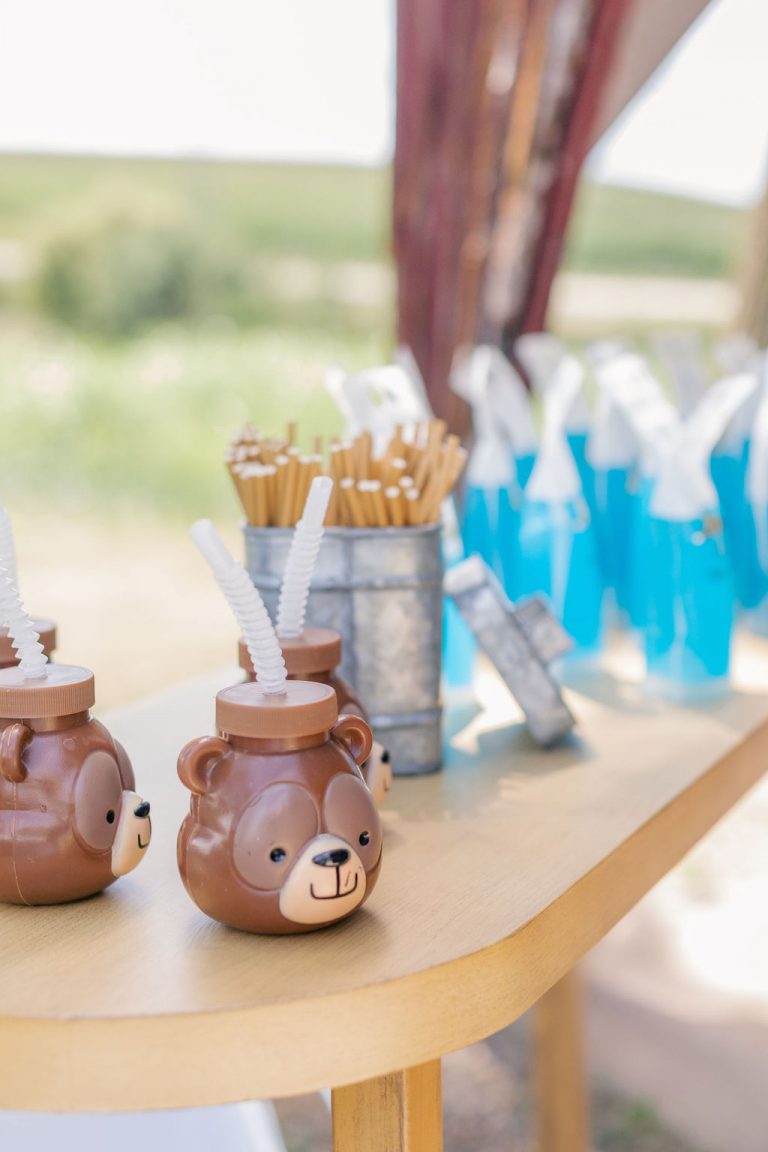 'One' Happy Camper Birthday Party - Inspired By This