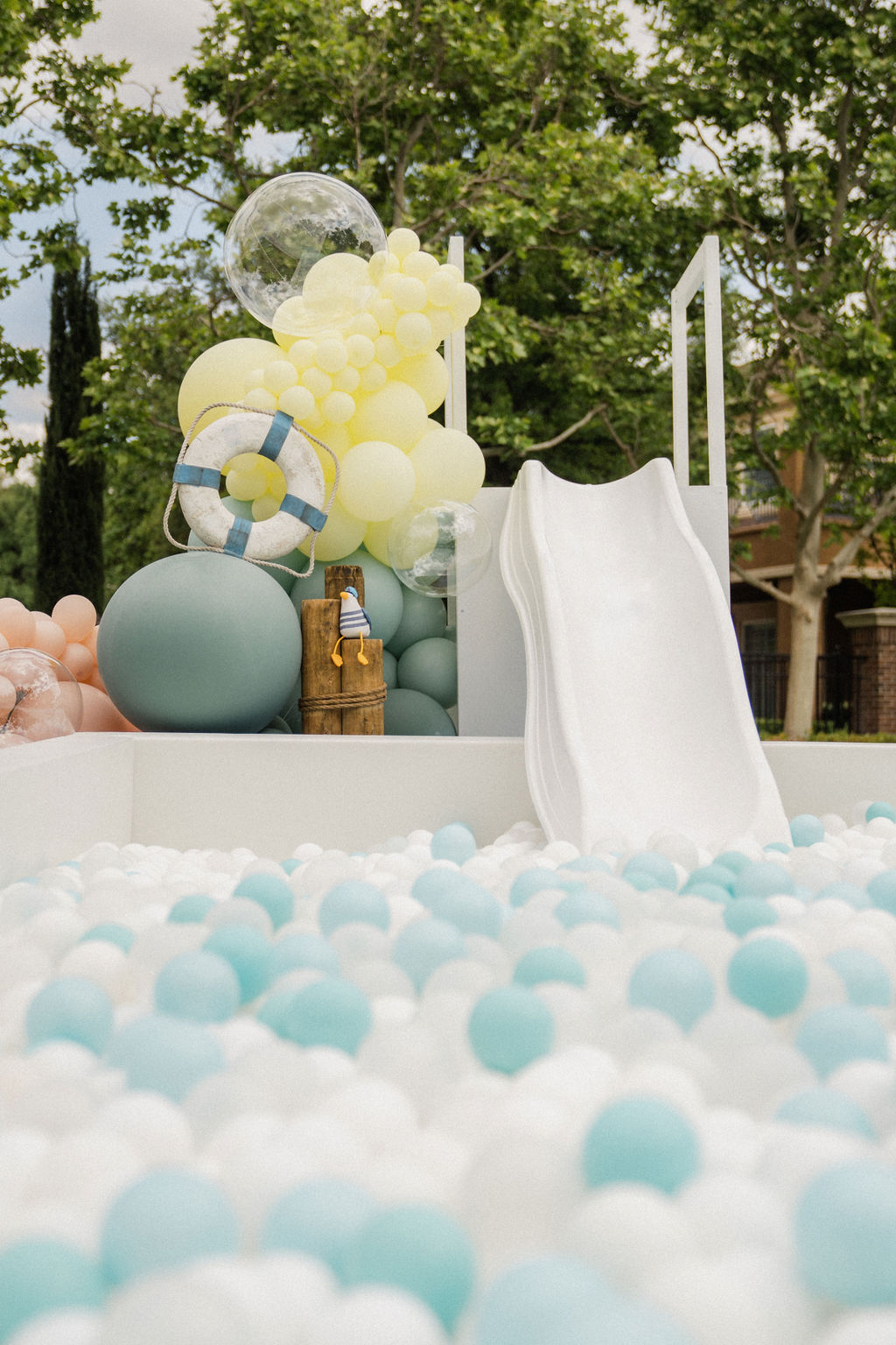 Dual Birthday Party Celebration - Inspired By This