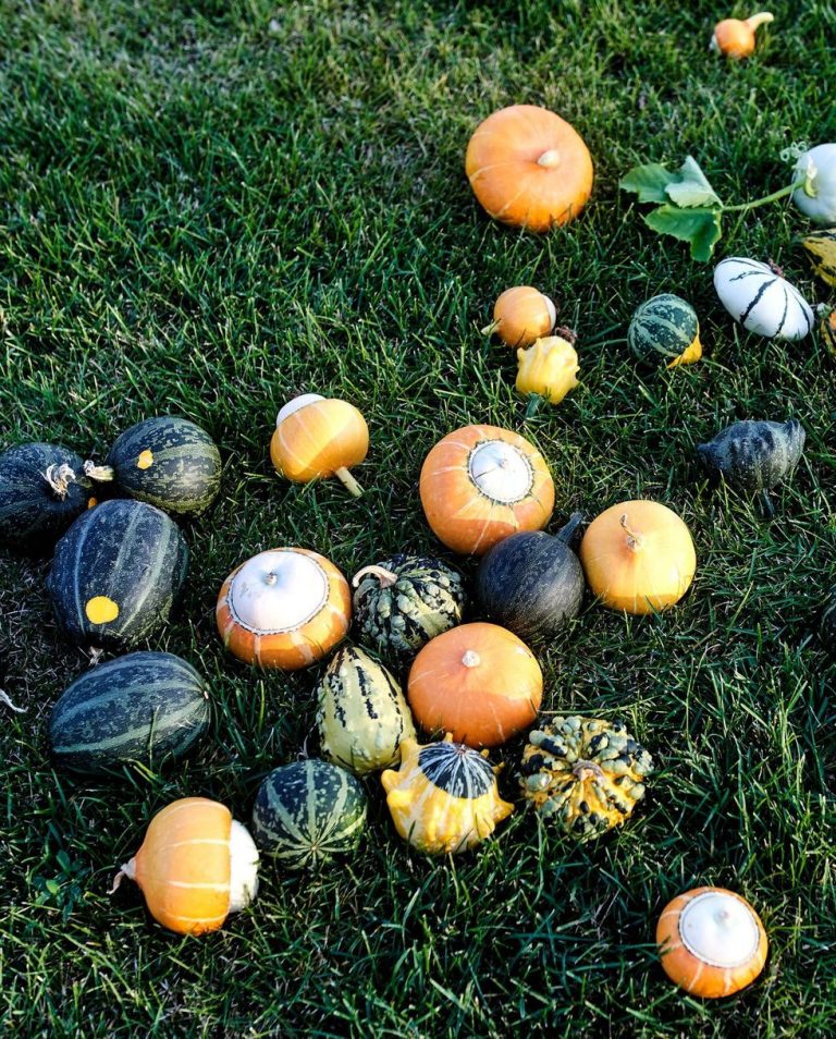 2023 Halloween Party Inspiration - Inspired By This